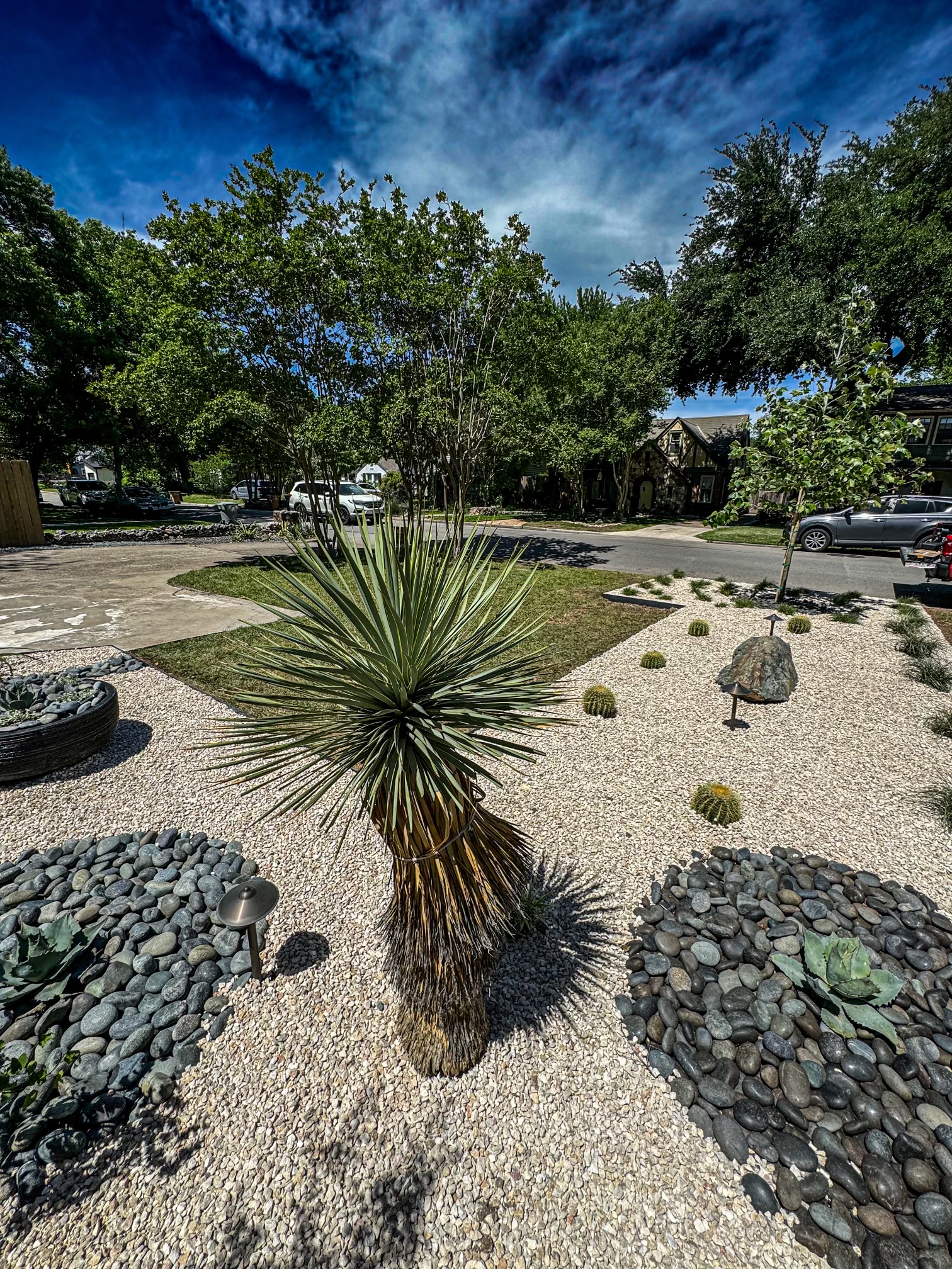 Austin Professional Landscape Designer - Landscape Designer