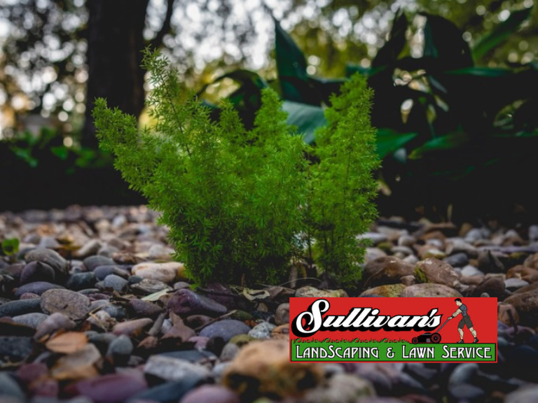 Enhance your outdoor space with Sullivan's pressure treated timber stairs.