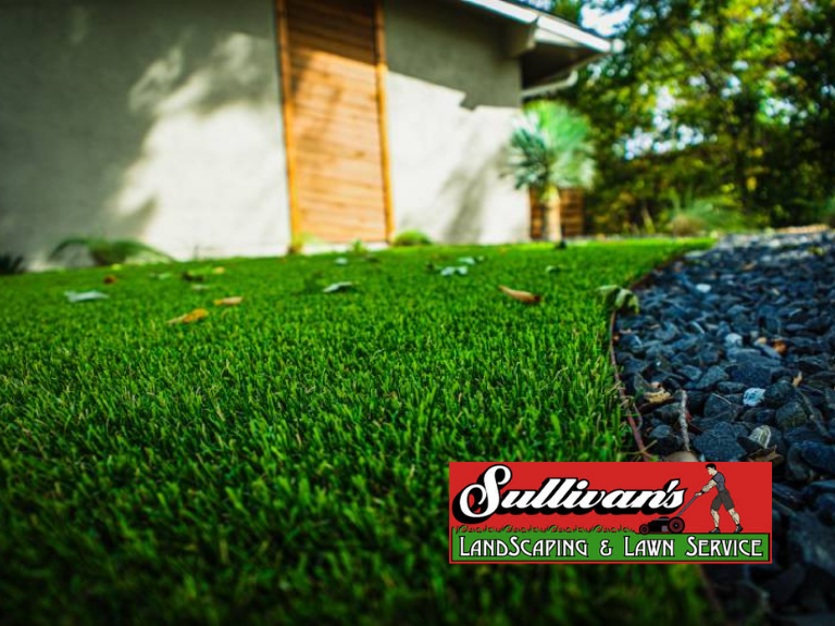 Enhance your property with top-notch landscape services in Mueller, TX.
